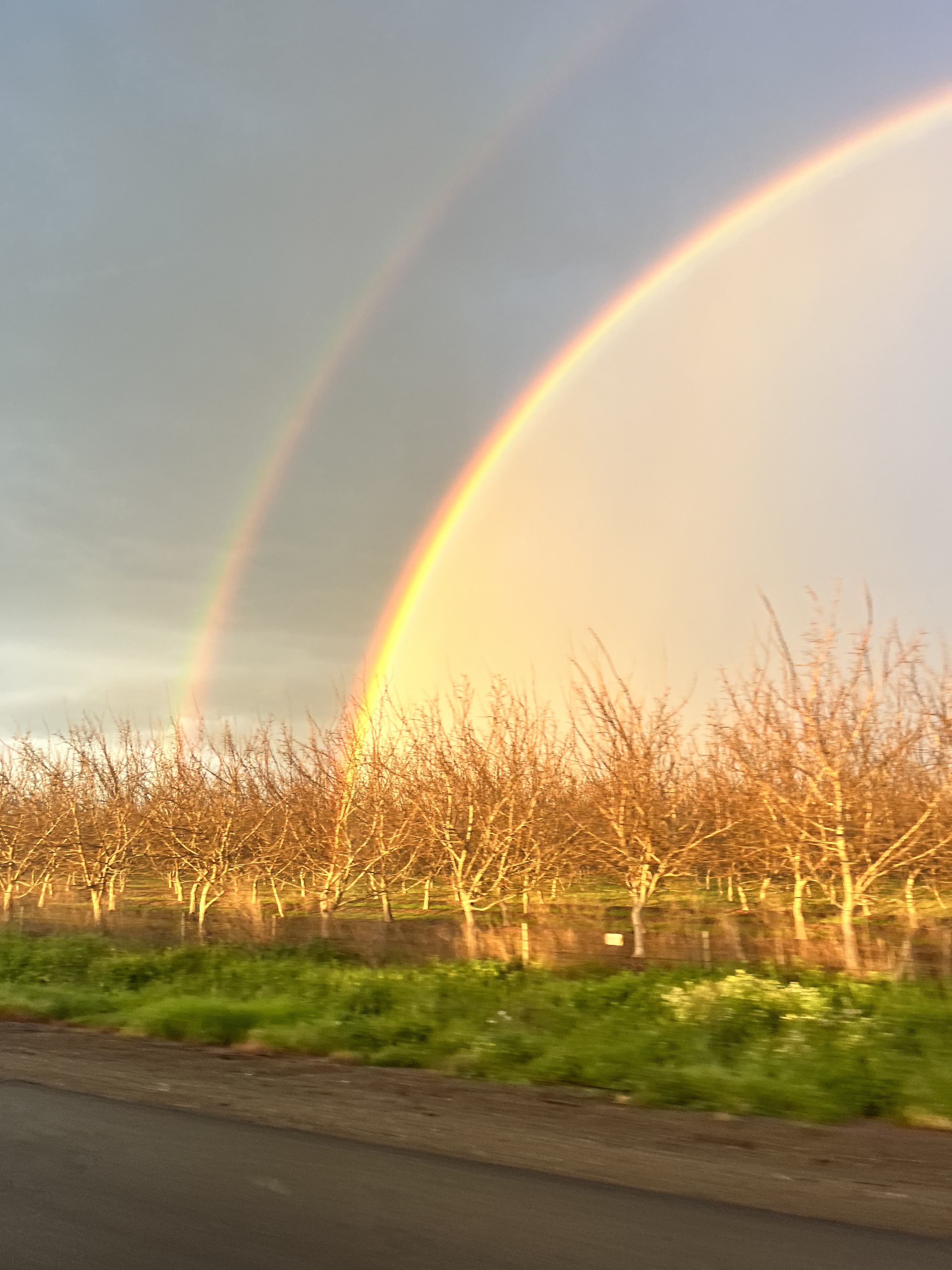 Embracing a growth mindset – On Reflection